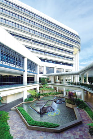 Courtyard garden at KK Women's & Children's Hospital, Singapore